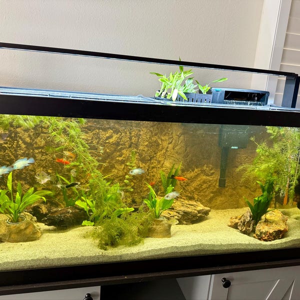 Aquaneat LED Light Riser, Attractive Stable Elevated Stand, Quality LED ...
