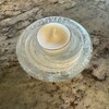Memorial Glass Sea Shell Sculpture, Cremation Ashes, Pet, Contact Us at ...