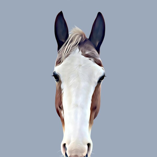 Horse Physical Assessment Form | Horse Bodywork | Equine Form | Horse ...