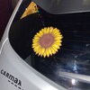 Hand Drawn Sunflower Car Window Decal Flower Car Window Decal Flowers ...