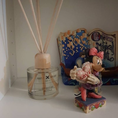 100ml Reed Diffuser Choose a Scent Disney Inspired Reed - Etsy