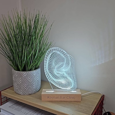 Cat on the Moon Led Night Light, 3D Illusion Table Lamp for Animal ...