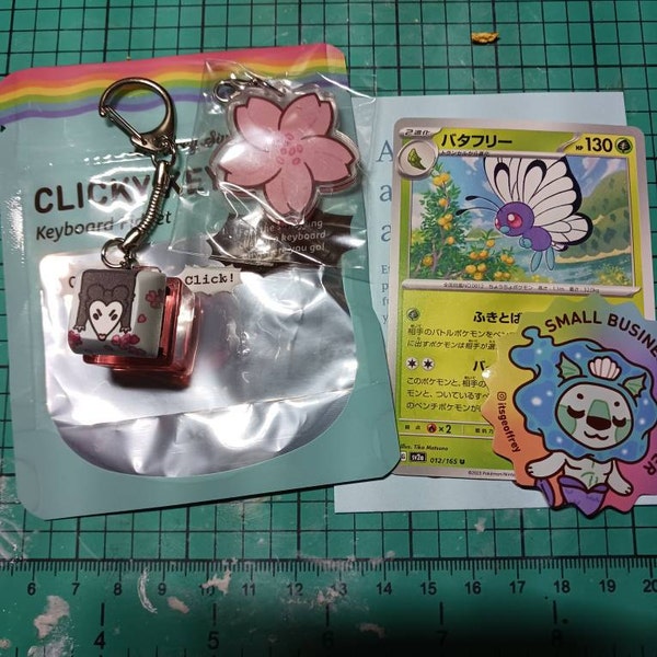 Rainbow Lion Virtual Pet Fillable Shaker Keychain - Etsy