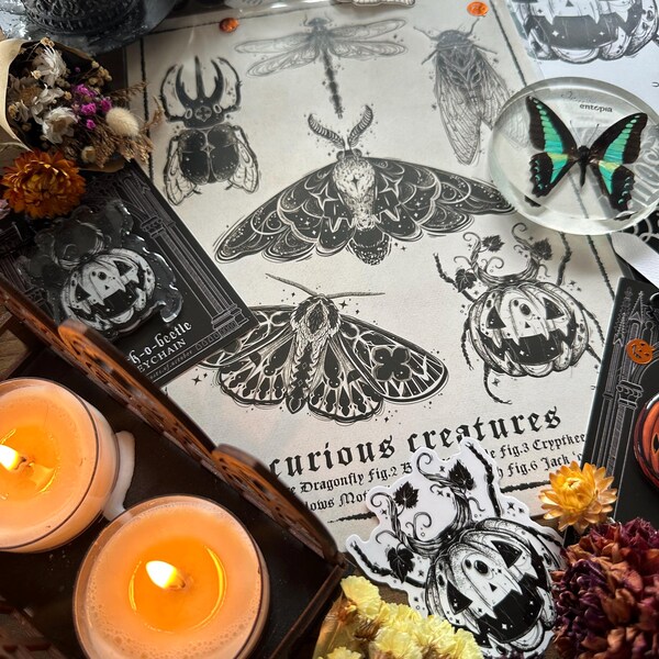 Entomology A4 Print | Gothic Art | Entomology Art | Beetle Artwork ...