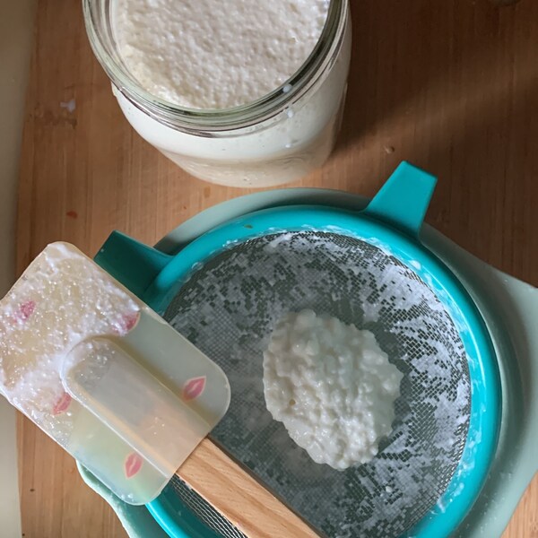 Loose Leaf Herbal Tea Gift Box. DIY Tea Kit for Practical Magic. Tea ...