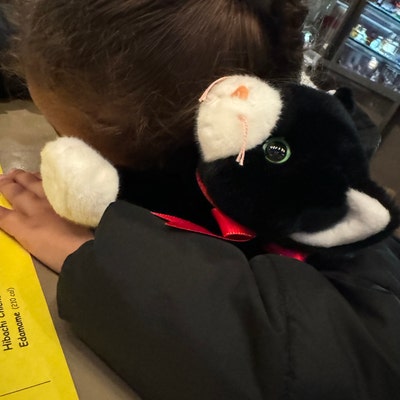 TY Beanie Baby princess the Bear That Honors Princess Diana. New, Never ...