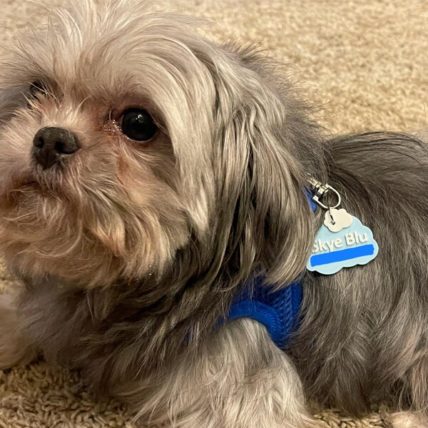 Rose Pet Tag- Custom Color 3D Printed Dog Tag, Cat Tag, Pet ID - Etsy