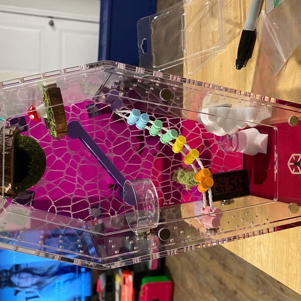 Magnetic Jumping Spider Mantis Staircase - Etsy