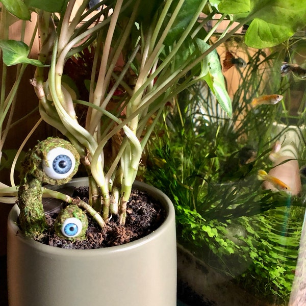 Eye Lichen Labyrinth Themed Gift - Etsy