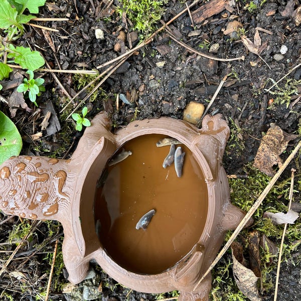 Dome-style Garden Slug Trap. Decorative Trap to Protect Flowers and ...