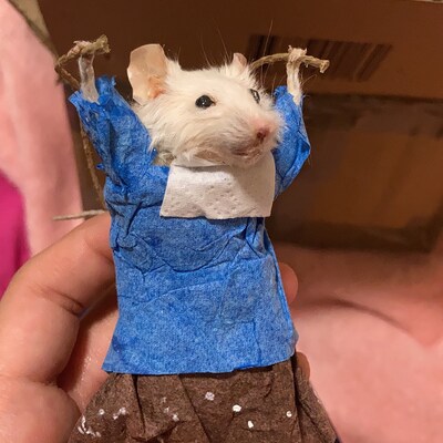 Taxidermy Rat Rope Player Taxidermy Anthropomorphic Curiosity Oditties - Etsy