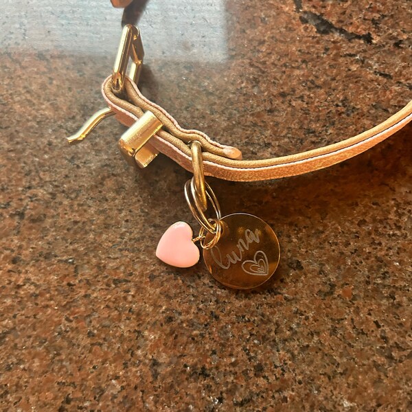 Cherry Pet ID Tag | Cherry Tag for Dogs | Summer Berries Cat ID Tags ...