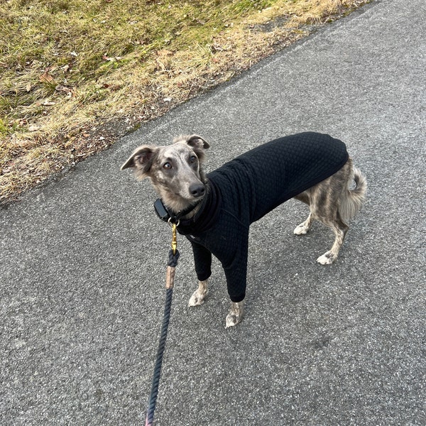 Italian Greyhound/whippet Navy Blue Hoodie With Stripes, Dog Clothes ...
