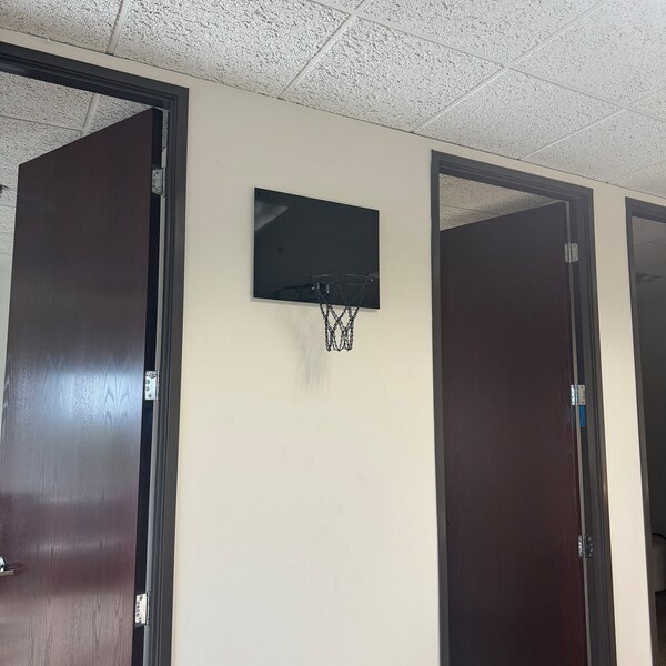 6 Hook Black to Gold Chain Net for Mini Hoop | Chain Net ONLY; NO HOOP ...