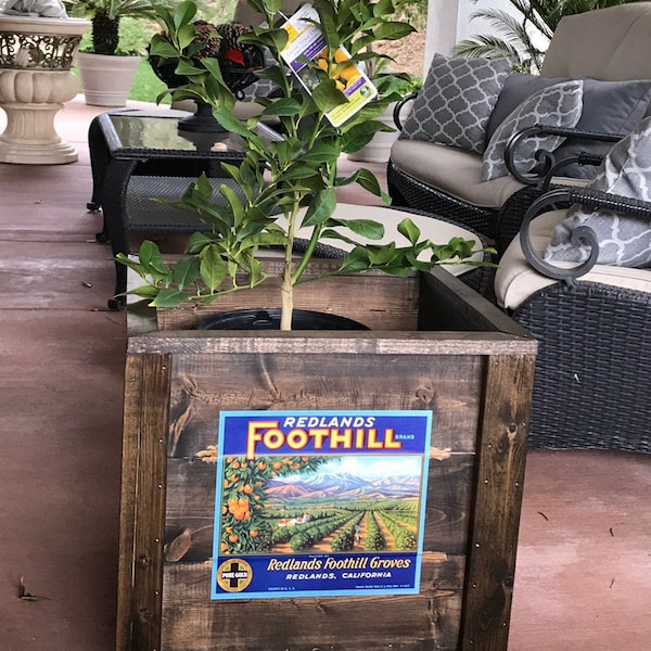 Original Vintage Citrus Crate Label 1930s Redlands Foothill California ...