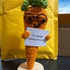 Heartwarming Carrot and Emotional Support Love Potted Plant,handmade ...