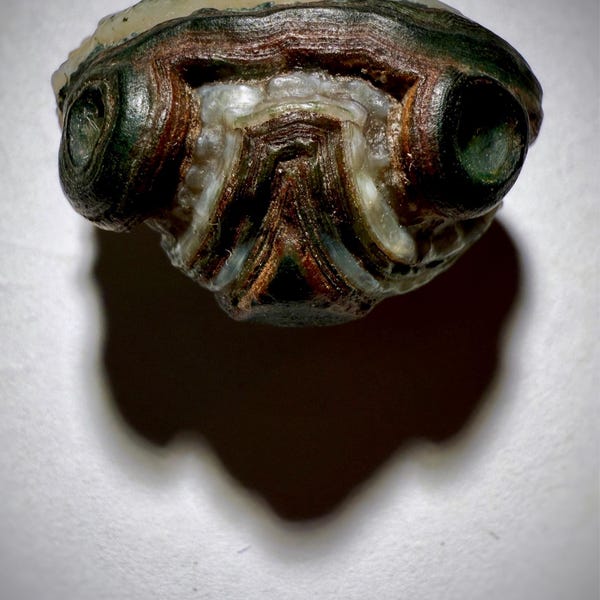 Alxa Gobi Desert Agate, Mongolian Gobi Eye Stone, Rough Eye Agate ...