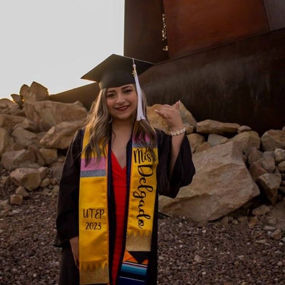 Veterinarian Graduation Stole - Etsy