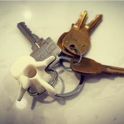 Anatomical Hamate Bone Keyring Keychain Carpal Bone - Etsy