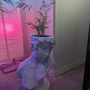 Sappho Bust Planter Pot for Plants Greek Goddess Sappho's Head Head ...