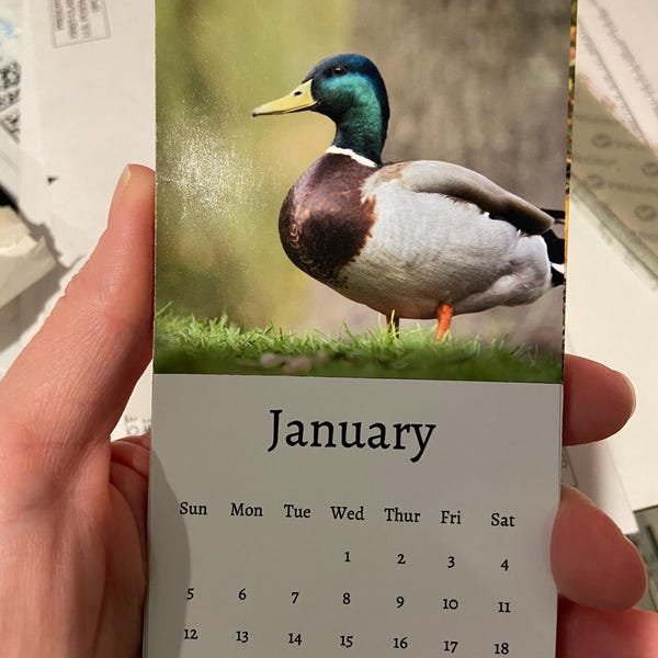 Cavapoo Calendar 2025: Monthly Wall Calendar With Notes, Opens to A3 ...