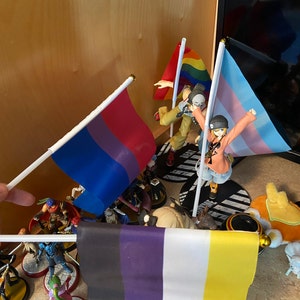 2'x3' Aromantic Pride Aro Pride Flag | Etsy