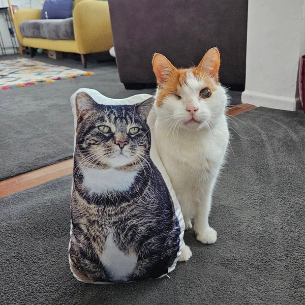 Custom Cat-shaped Throw Pillow, Personalized Cat Cushion, Custom Pet ...
