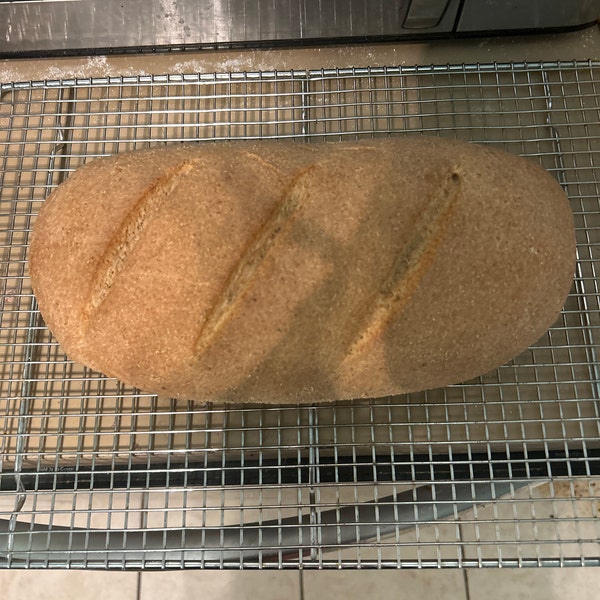 White Sonora Whole Wheat Flour, 2 Lb, Certified Organic - Etsy