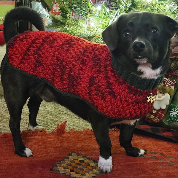 Easy Crochet Dog Poncho Pattern: XXS-2XL (PDF Pattern) - Etsy