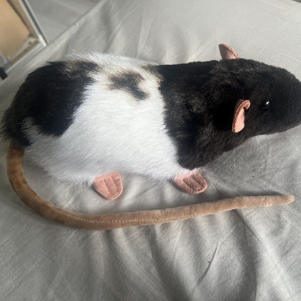 Dumbo Rat Plush, Stuffed Gray Rat, Realistic Animals - Etsy