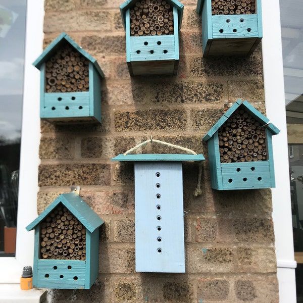 Bee,bug House, With Clear Tubes , (you Can See, How the Bees Form Cells ...