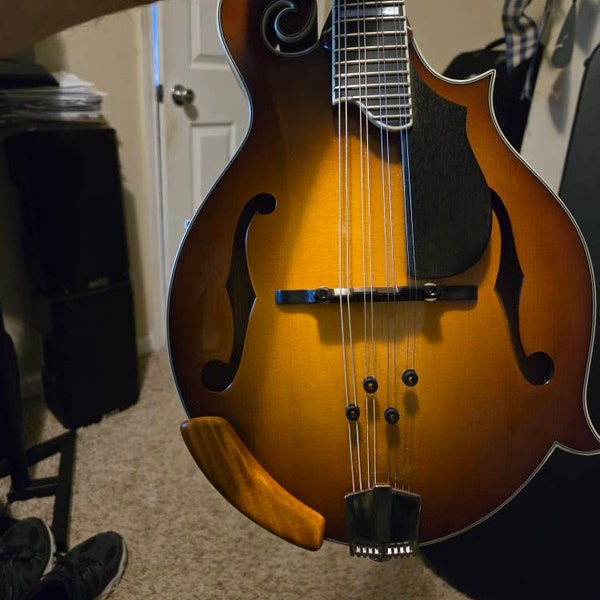 Premium Instrument Case Stand for Guitar, Violin, Mandolin, Banjo ...