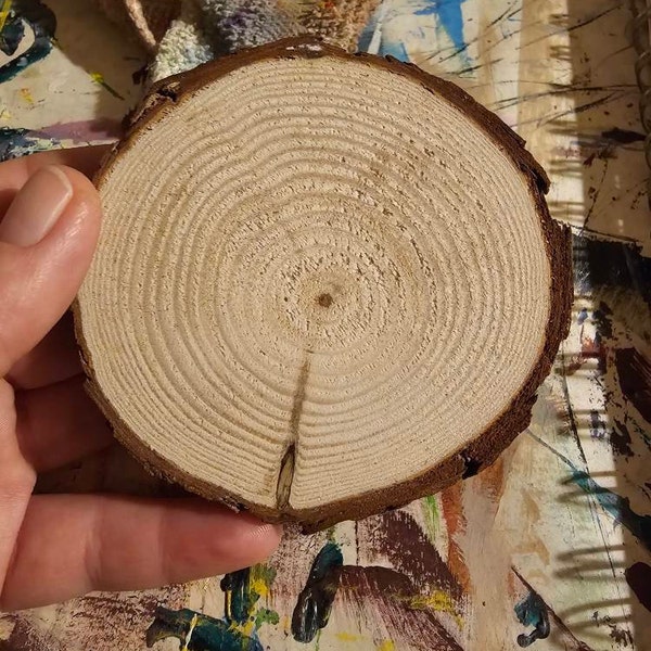 Set of 3 Southern Pine Wood Rounds - Etsy