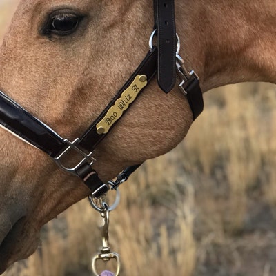 Fancy Engraved 4 Brass Halter Plate, Horse Tack Plate - Etsy