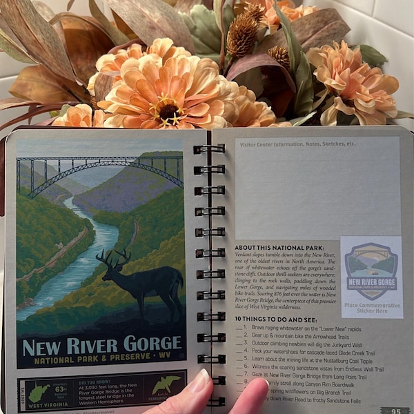 National Park Adventure Guide Book (63-park Edition) by Anderson Design ...