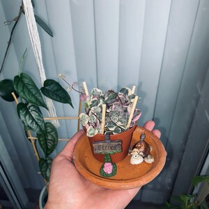 Goldfish Watering Can Fish Watering Can Cute Watering Can | Etsy