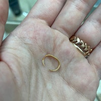 Moon Phases Septum Ring, Septum Piercing, Rose Gold Septum Ring 14g, Dainty Septum Jewelry, Tiny ...