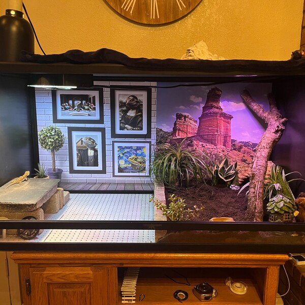 Custom Aquarium / Terrarium Background / Send Us Any Image or Use Our ...