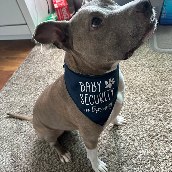 Baby Security in Training Dog Bandana: Pregnancy Announcement - Etsy