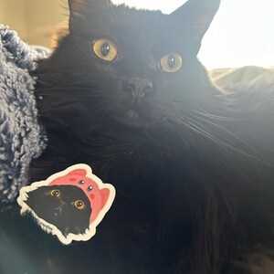 Raining Cats 12x20 Print, Internet Cats, Smudge, Lil Bub, Grumpy Cat ...