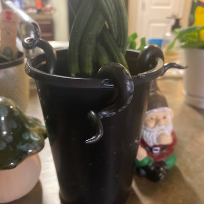 Plant Stakes Funny Plant Stakes Crazy Plant Lady Gifts for Plant Lovers ...