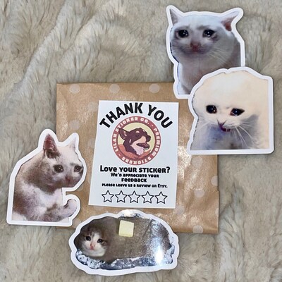 Crying Cat Sticker Pack Pack of 7 Meme Crying Cat Stickers - Etsy