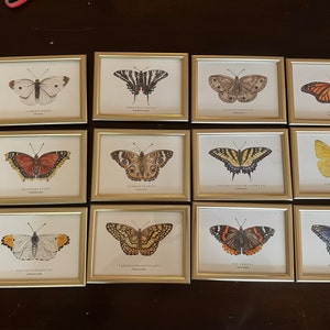 Garden Alphabet Watercolor Nursery Art Garden ABC Print Playroom Decor ...