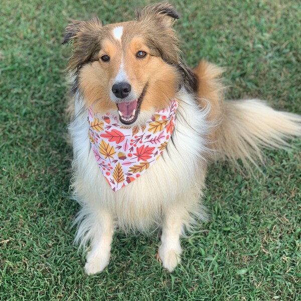 Fall Dog Bandana/white With Fall Leaves Dog/blush With Pumpkins/pet ...