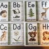 Printable, Woodland Theme Alphabet Wall Posters, Classroom Decor ...