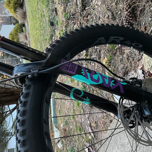 Transition SPUR CARBON 2020 Sticker Kit - Etsy