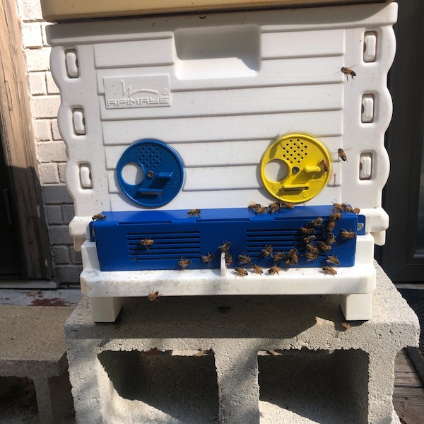Ultimate Beekeepers Tool Box | Personalized Bee Tool Box | Beekeeping ...