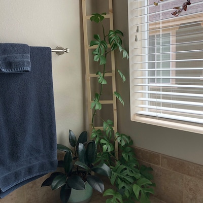 Hanging Wood Trellis for Indoor Plants, Wall Ladder for Climbing Plants ...