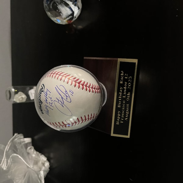 Baseball Home Run Trophy Ball Holder Protective Display Case-free ...