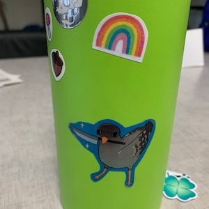 Summer Cat Sticker Bundle / Sticker Pack / Hydroflask Stickers | Etsy